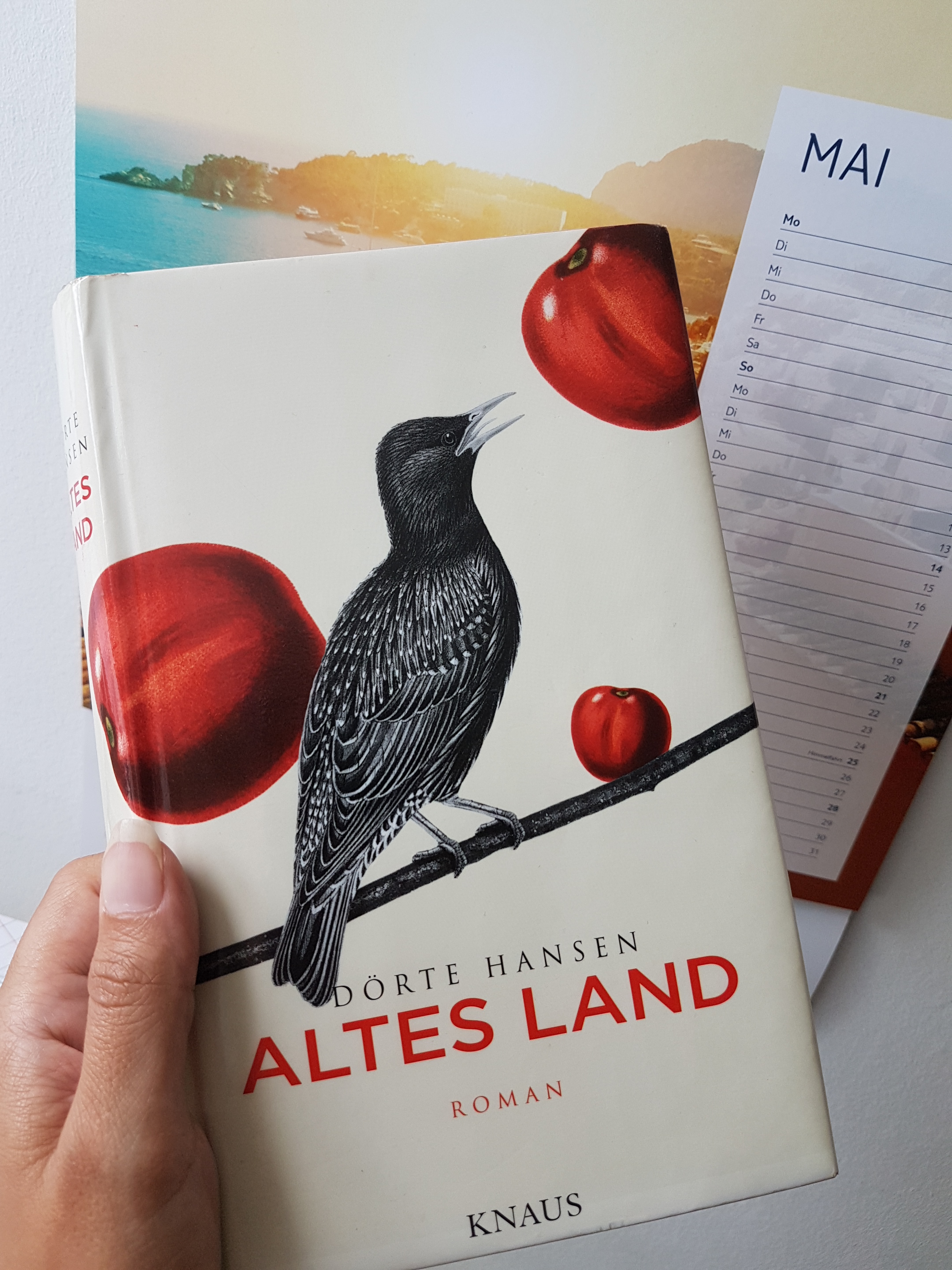 Dörte Hansen: Altes Land | Die geheime Geschichte